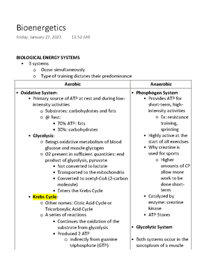 Periodization textbook - Periodization: NASM textbook When training ...