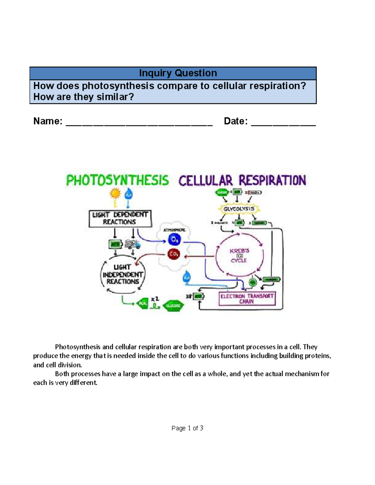 Cellular respiration and photosynthesis (1) - Page 1 of 3 Inquiry ...