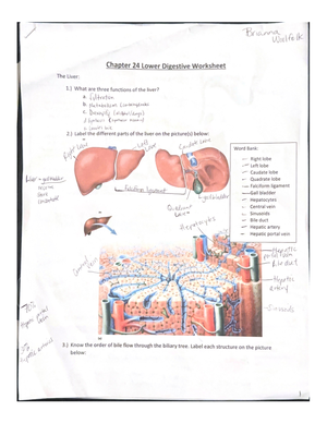 BIOS252 W7 Lab Instructions - May 2021 Updated - Week 7 Lab Instructions Endocrine System ...