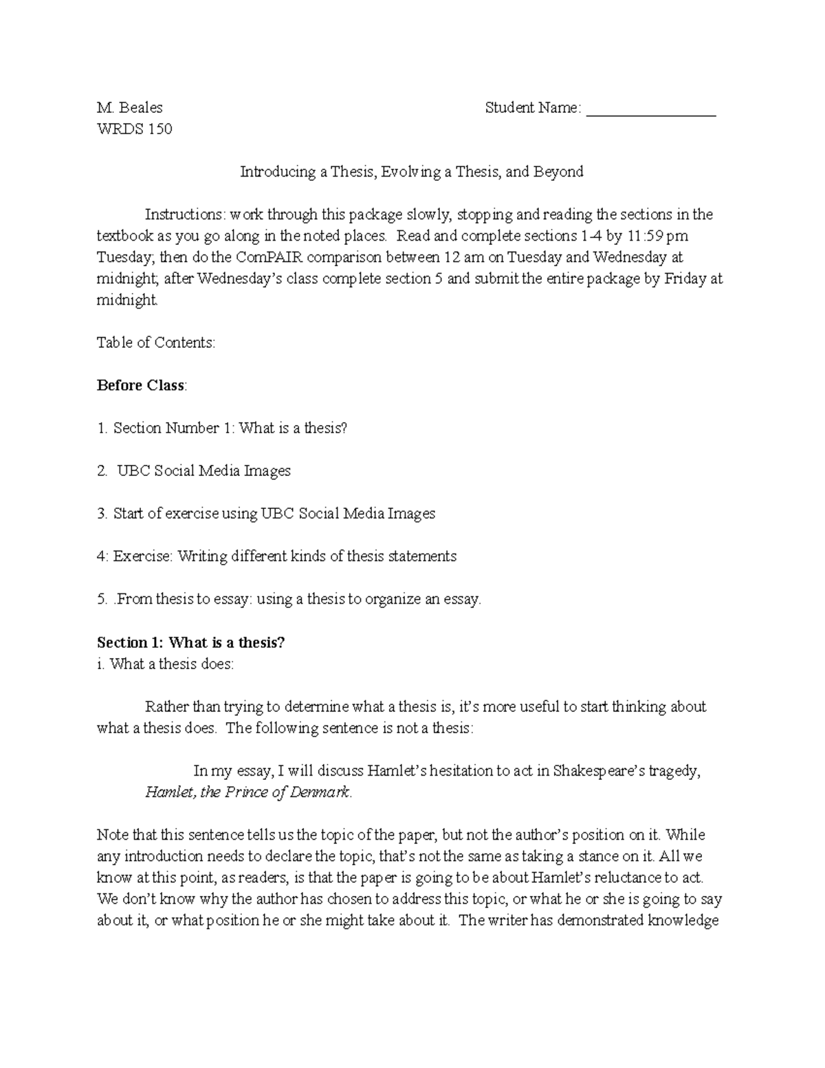 Fatima Rasool - thesis package - M. Beales Student Name ...