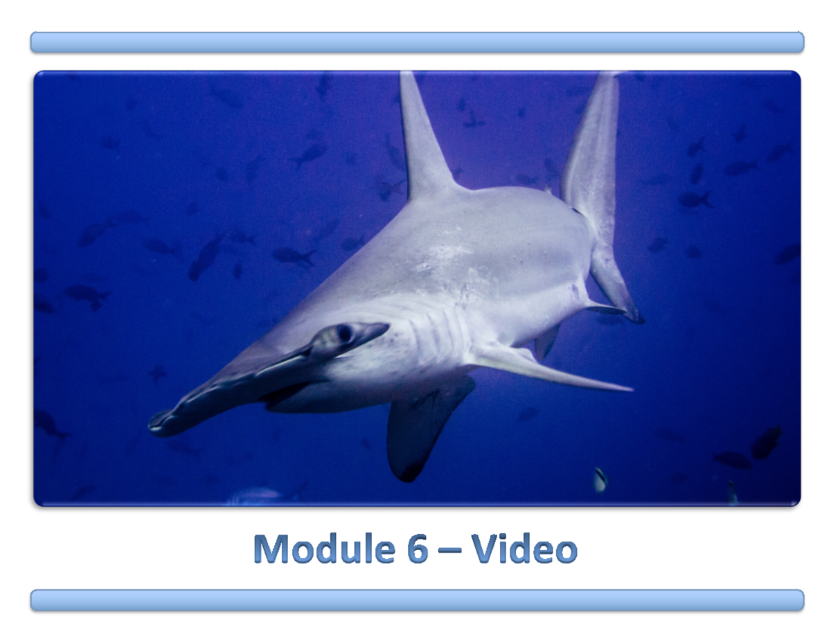 Module 6 - Video - Slides - reaction profile = energy vs reaction progress diagram transition ...