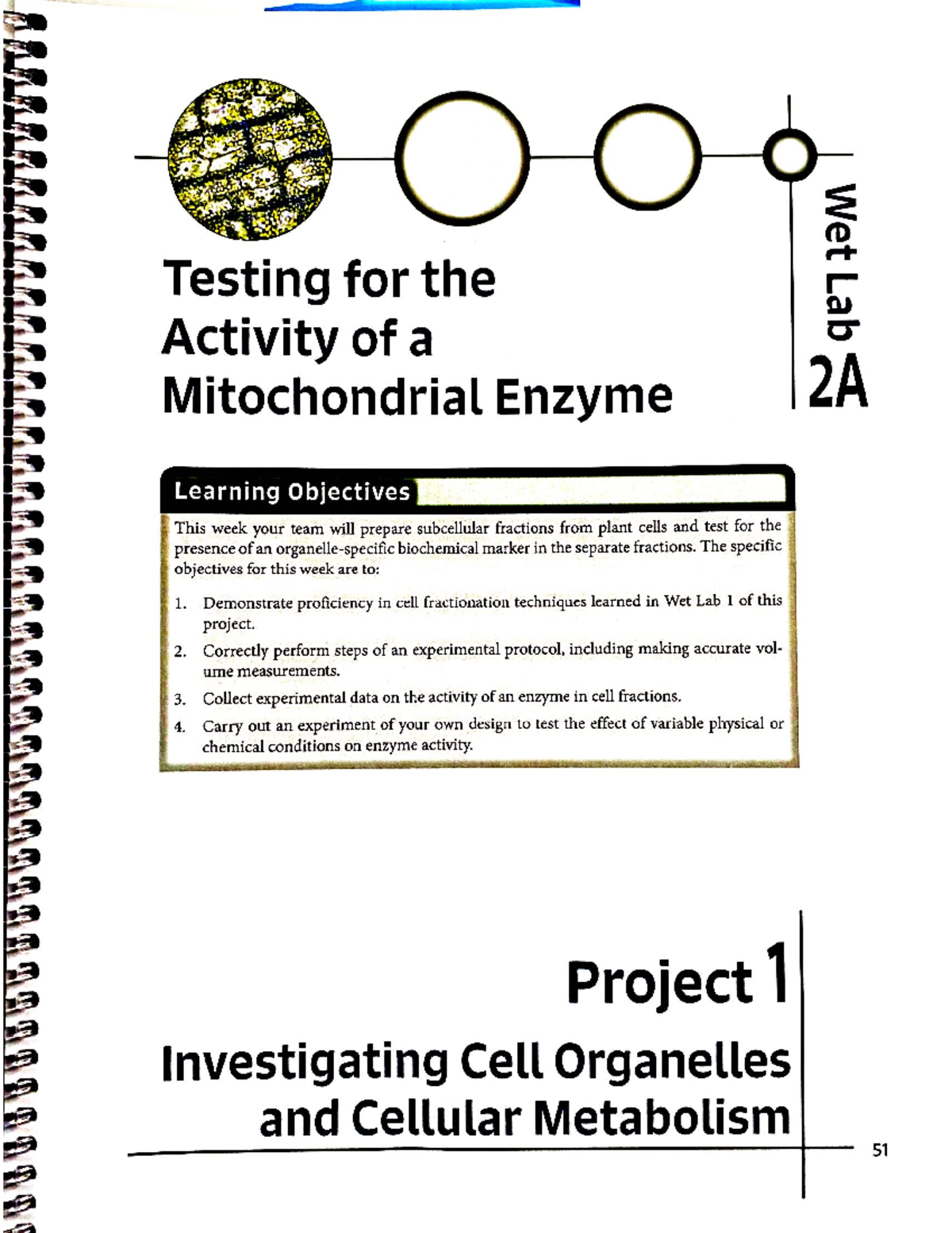 Wet Lab Number 2A - BIOL14110AAA - Studocu