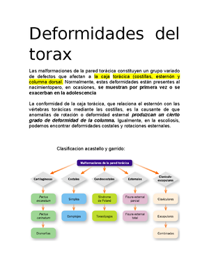 Epitroclea - fractura, clasificacion, diagnostico y tratamiento ...