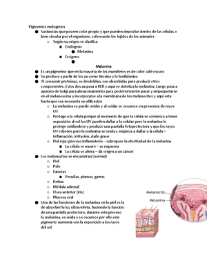 Muerte somatica - La muerte es el cese irreversible de funciones ...