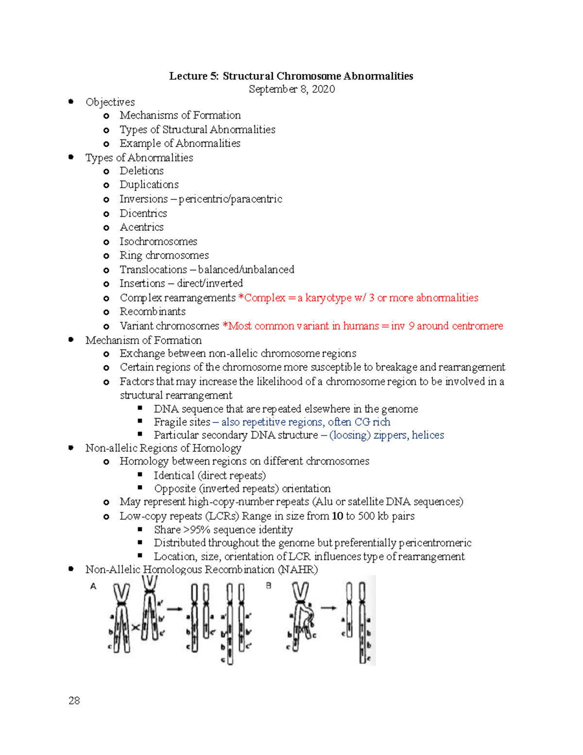 Lec 5 Structural Chromo Abnormalities - Lecture 5: Structural ...