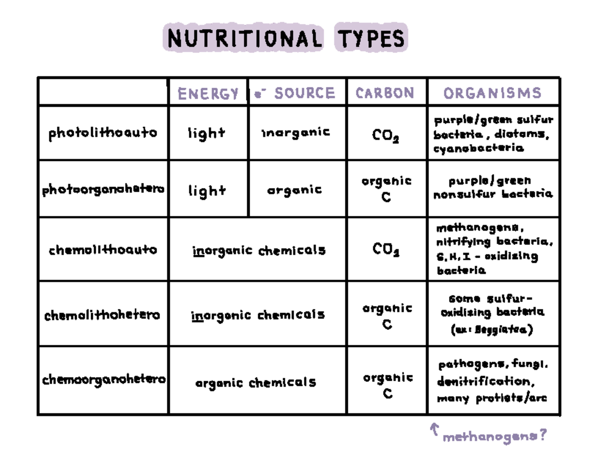 Nutritional Types - ;Éñn .- o' o É e e E EE' sie n 0 ua J S E ii agingÑ ...