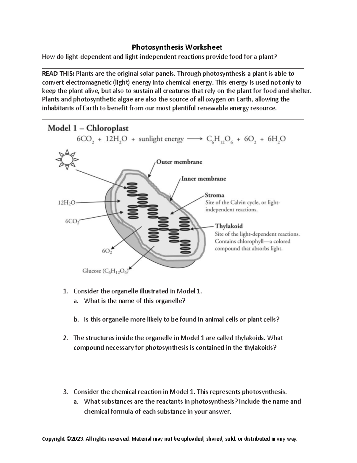 Photosynthesis Worksheet-1 - Photosynthesis Worksheet How do light ...