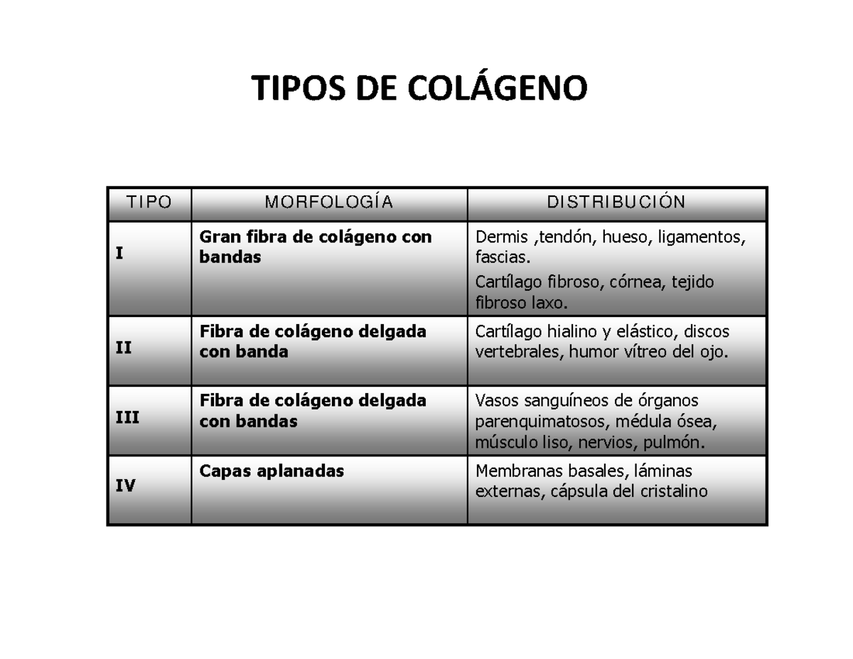 Colageno 0 - TIPOS DE COLÁGENOTIPOS DE COLÁGENO T I PO M ORFOLOGÍ A DI ...