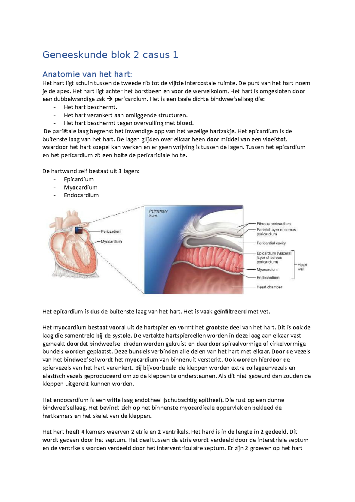 Blok 1.2 casus 1 - Geneeskunde blok 2 casus 1 Anatomie van het hart ...