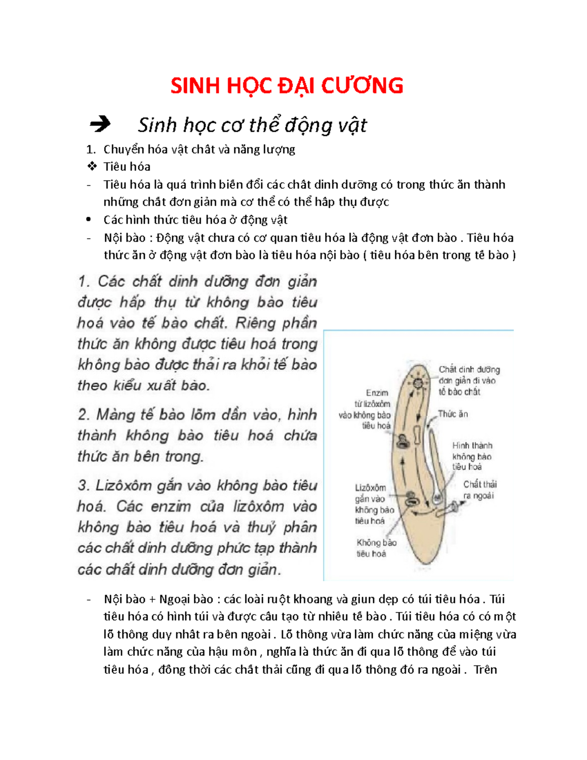 SINH HỌC ĐẠI CƯƠNG - SINH H ỌC Đ ẠI C ƯƠNG Sinh h c cọ ơ th ể đ ng v tộ ậ Chuy n hóa v t chấất ...