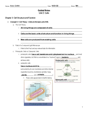 Chapter 6 Lesson 1 4pages fillable - Name Date Class Forms of Energy A ...