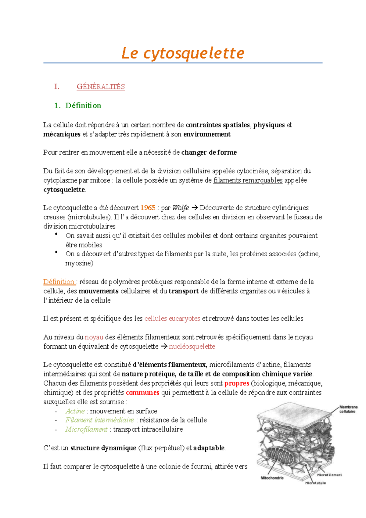 12. Le cytosquelette - Le cytosquelette I. GÉNÉRALITÉS 1. Définition La ...
