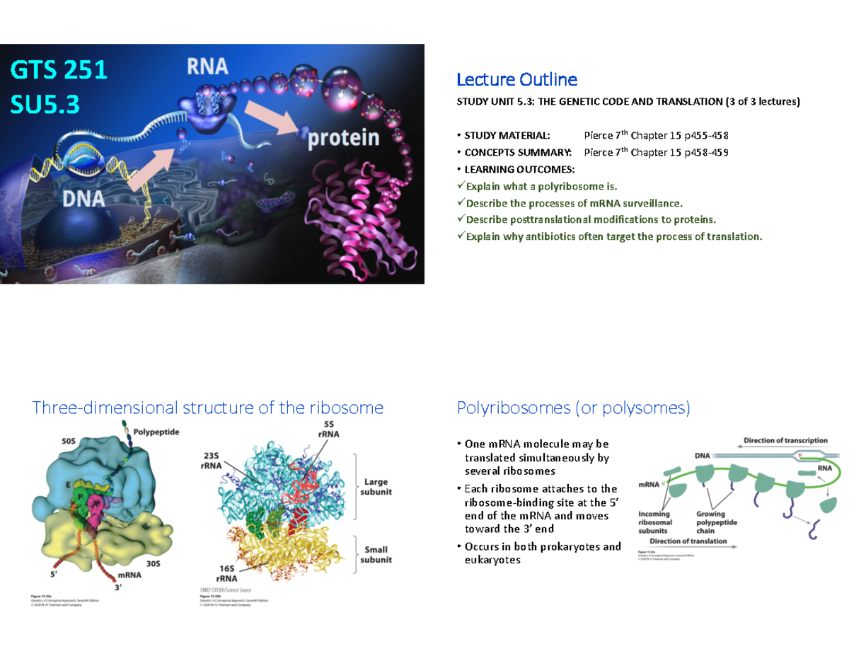 UNIT5.3 GTS251 - Lecture notes for UNIT 5.3 - GTS 251 SU5. Lecture ...