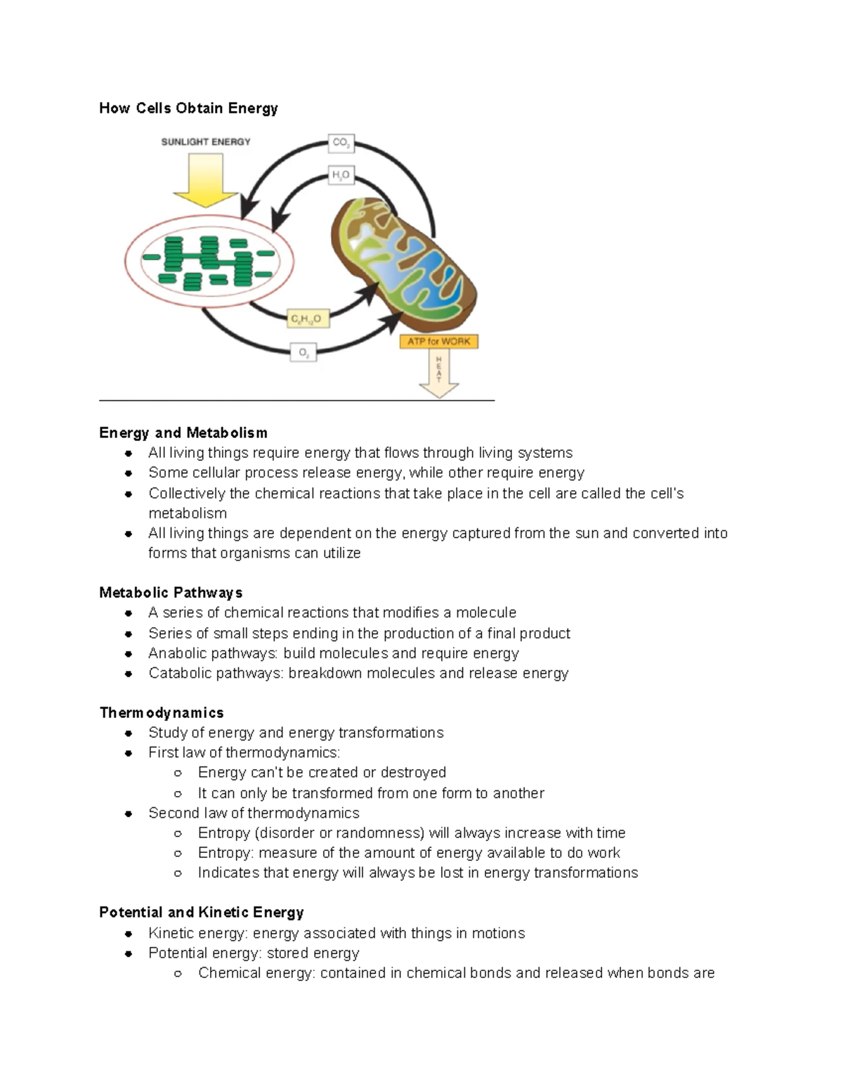 Energy - Module 4 - How Cells Obtain Energy Energy and Metabolism All ...