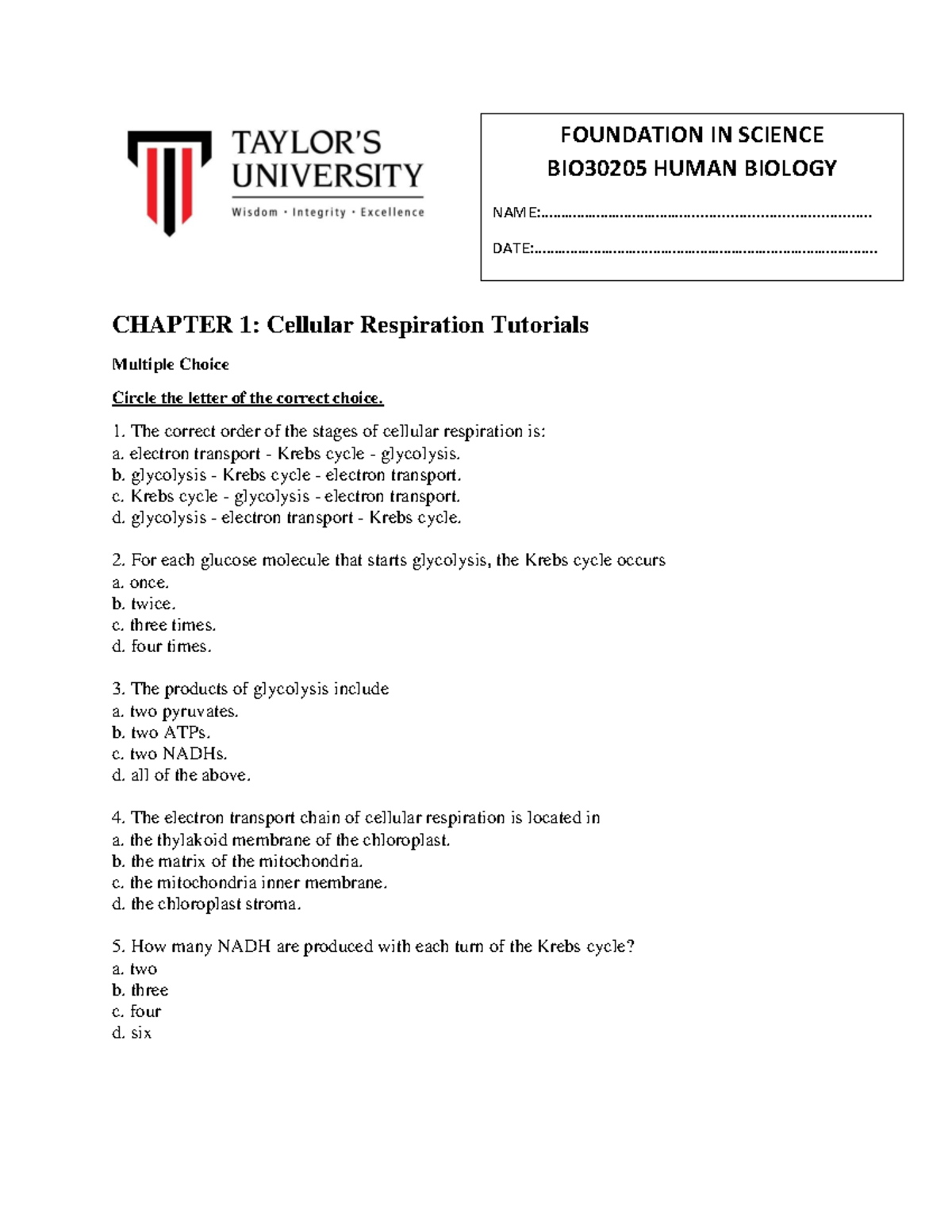 Cellular respiration worksheet - CHAPTER 1: Cellular Respiration ...