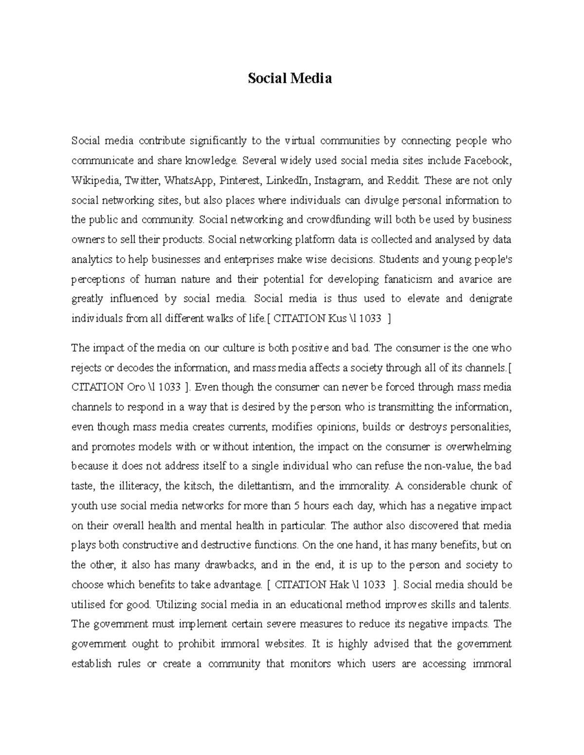 LR - literature review assignement - Social Media Social media ...