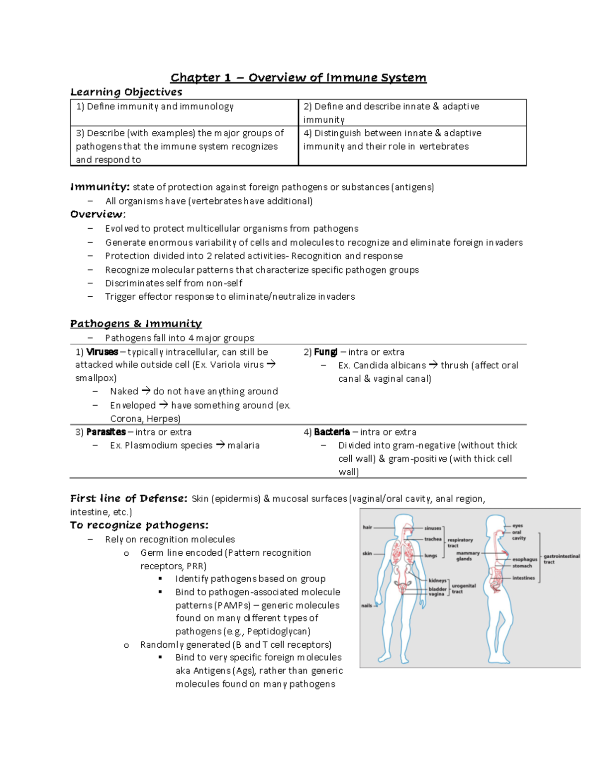 Chapter 1 - Notes - Chapter 1 – Overview of Immune System Learning ...