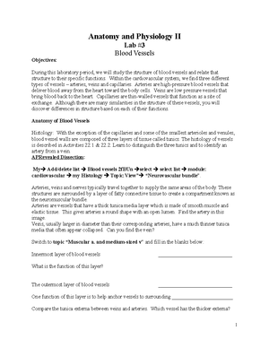 Blood Worksheet Mastrangelo - Blood Worksheet Name: Submit this ...