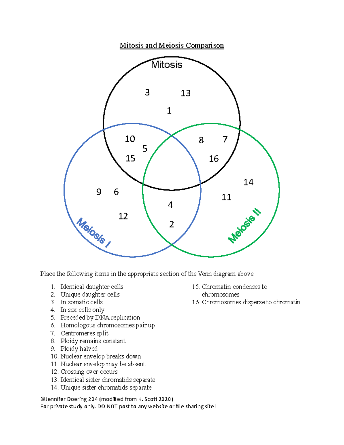 Mitosis vs Meiosis Comparison Worksheet key - ©Jennifer Doering 204 ...