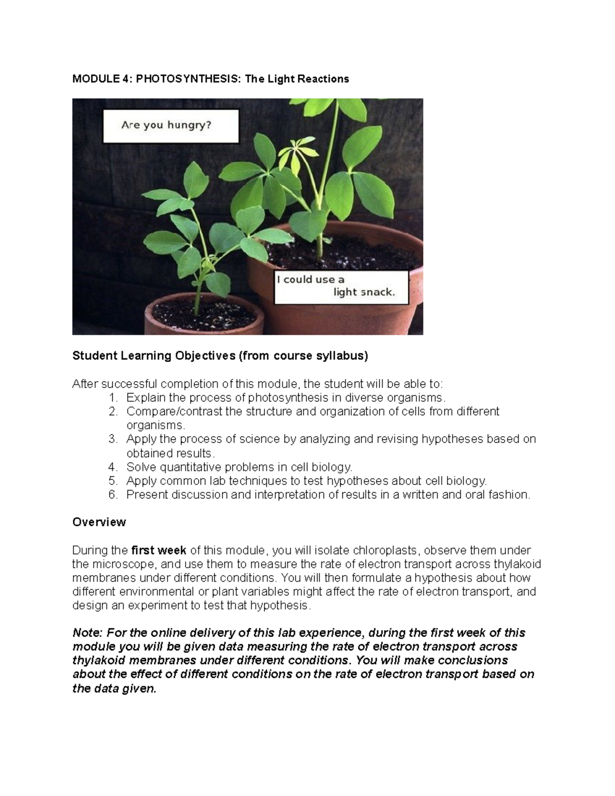 Photosynthesis week 1 - Gorsich - MODULE 4: PHOTOSYNTHESIS: The Light ...