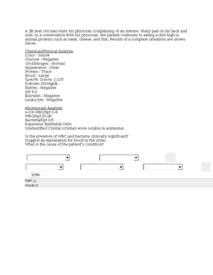 Medication Profile Oxytocin - ACTIVE LEARNING TEMPLATES TherapeuTic ...