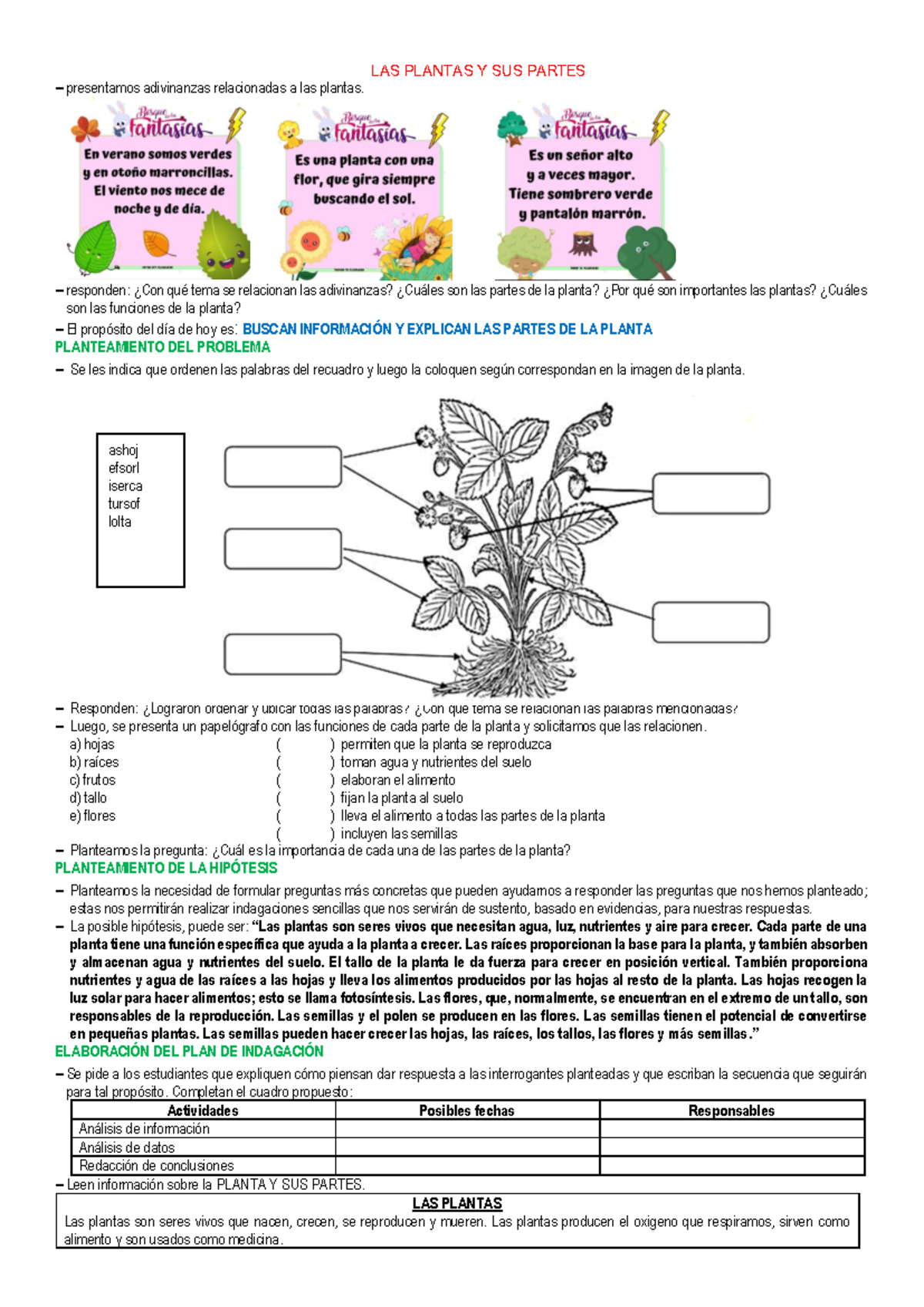 CY T - LA PLANTA Y SUS PARTES - LAS PLANTAS Y SUS PARTES − presentamos ...