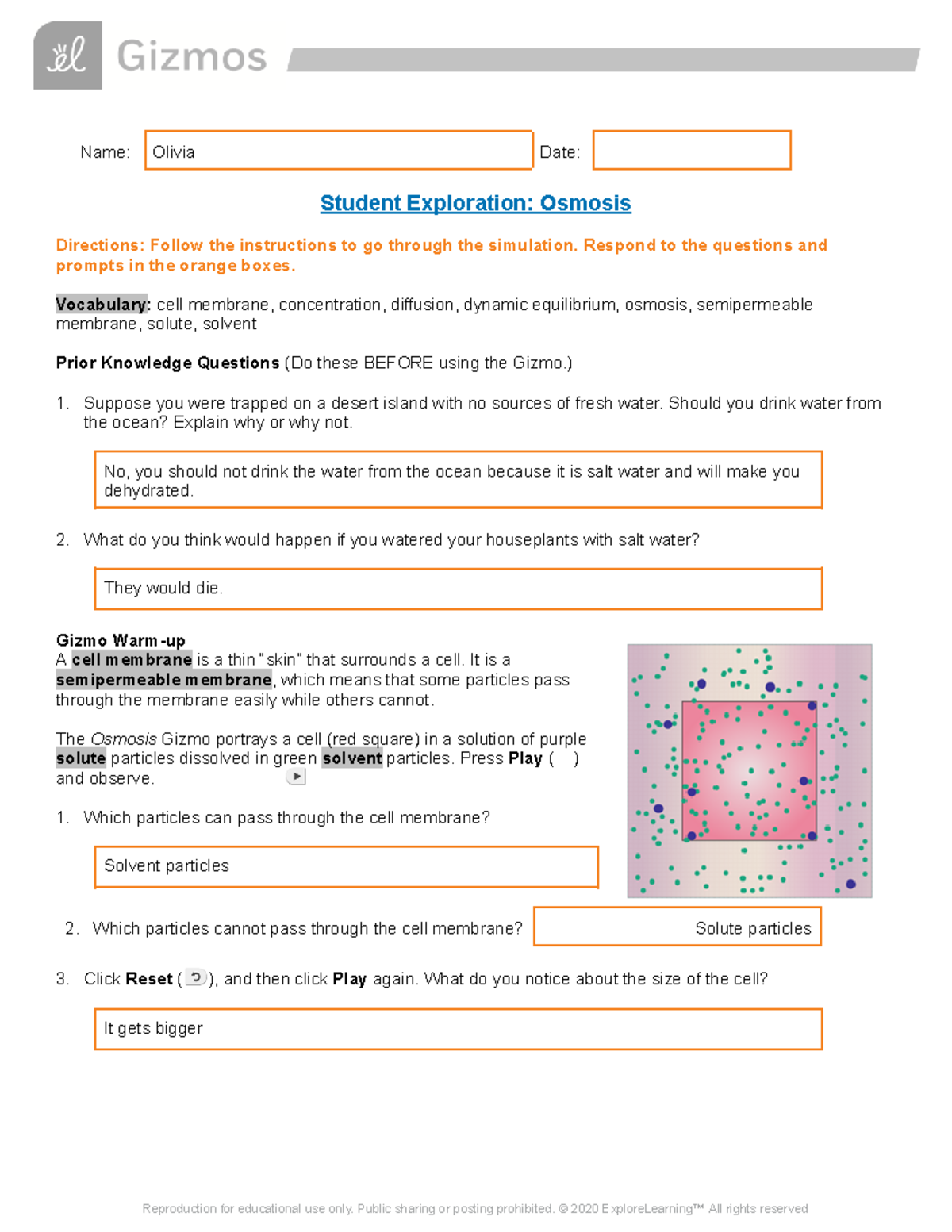 Osmosis Gizmo - Name: Olivia Date: Student Exploration: Osmosis Directions: Follow the ...