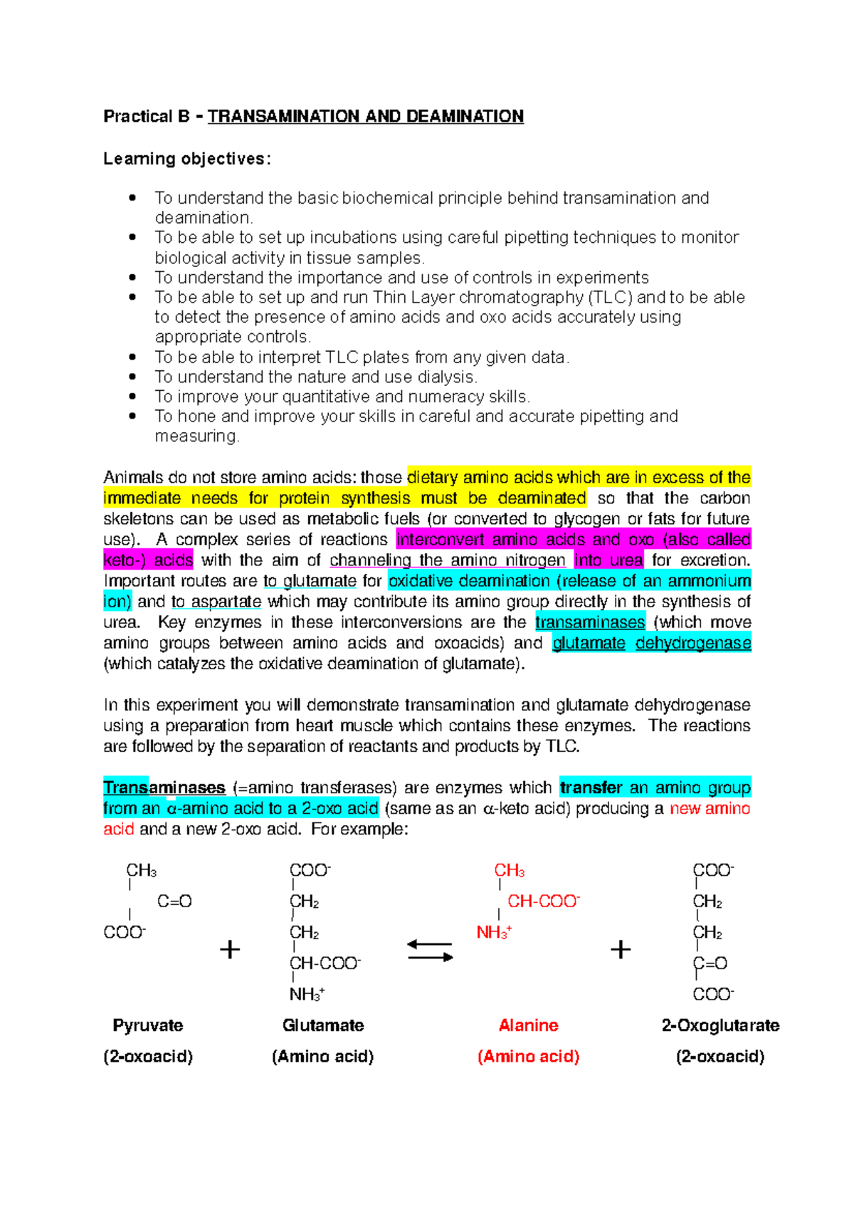 Transamination Practical Guide - Practical B - TRANSAMINATION AND ...