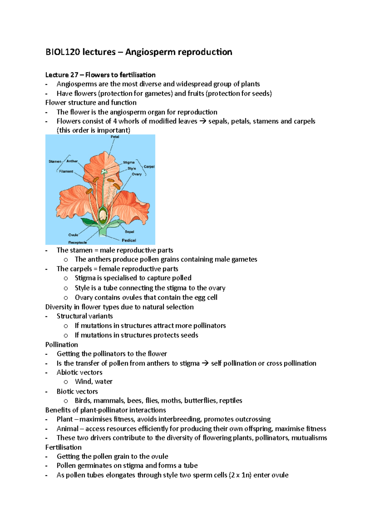 Angiosperm reproduction - BIOL120 lectures – Angiosperm reproduction ...