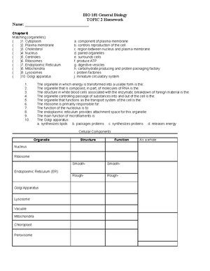 chapter 11 homework - Chapter 11- Name ...
