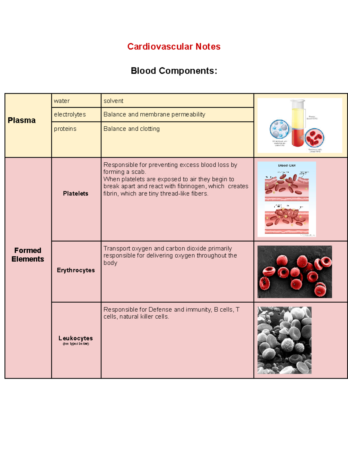 Cardiovascular Notes-2 - Cardiovascular Notes Blood Components: Plasma ...