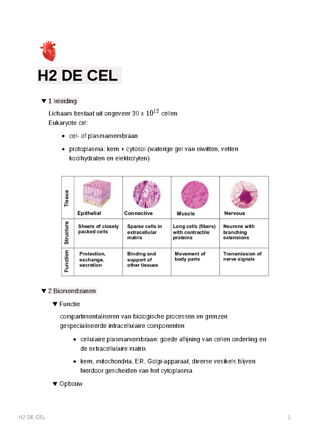 H2 DE CEL - PDF van modules - h H2 DE CEL 1 Inleiding Lichaam bestaat uit ongeveer 30 x cellen ...