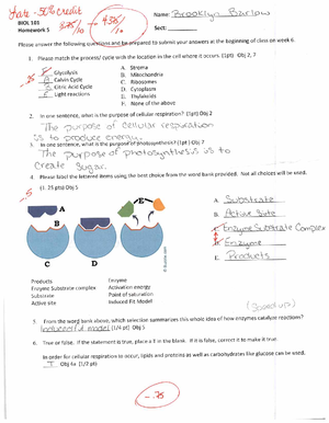 00. Lab Notebooks Rubric F19 - Laboratory Notebook Experiments 2 ...