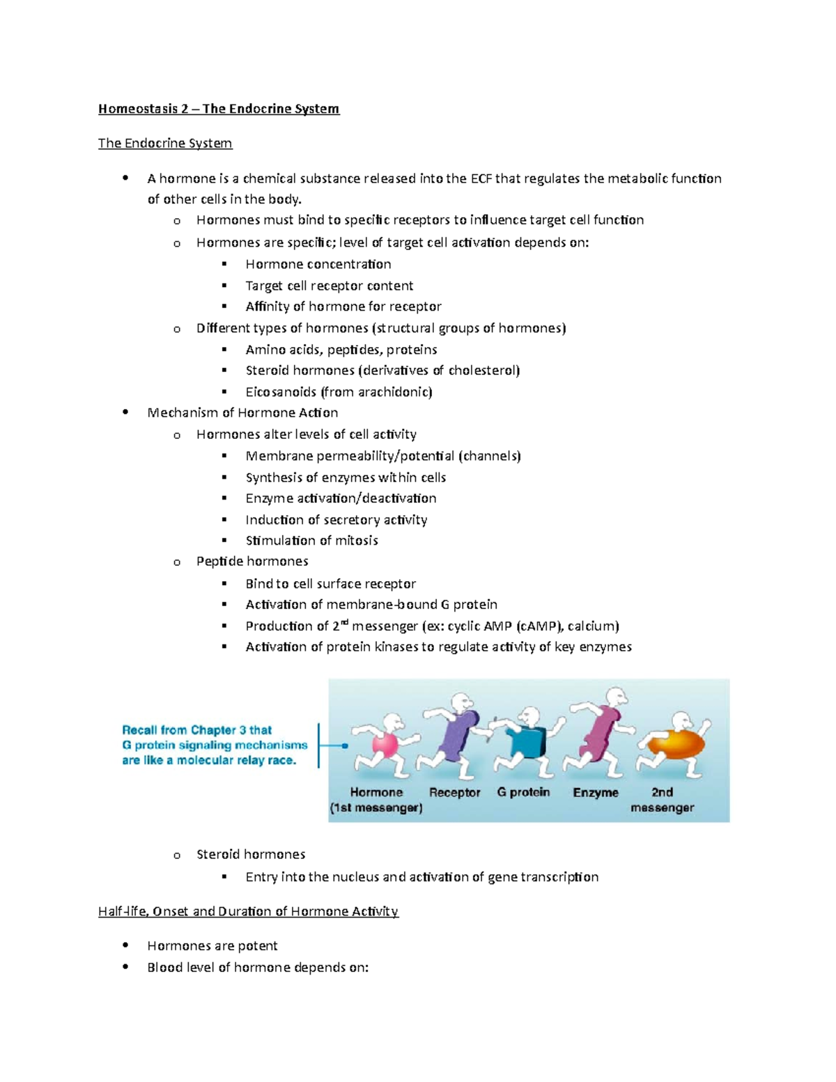Lecture notes - homeostasis 2 - Homeostasis 2 The Endocrine System The ...