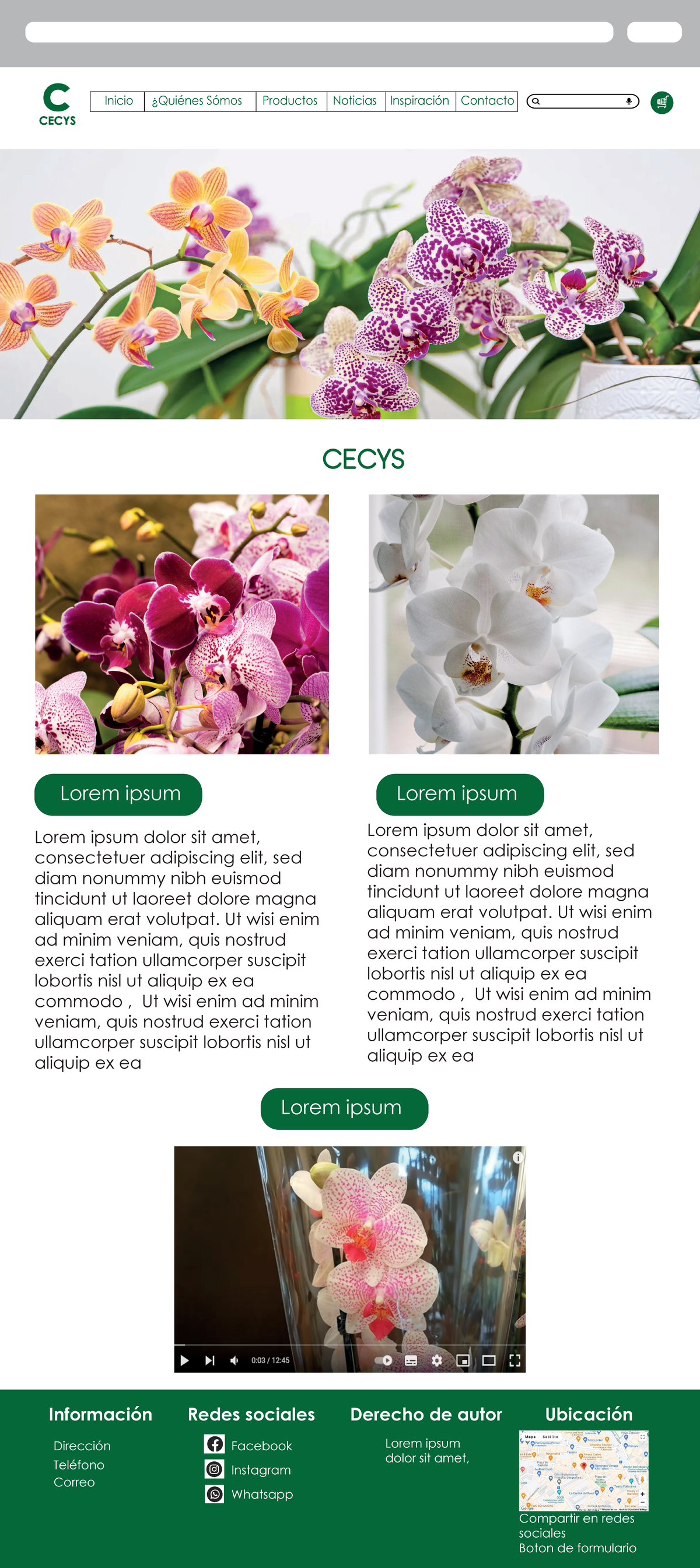 Boceto cecys pagina web - Lorem ipsum dolor sit amet, consectetuer ...