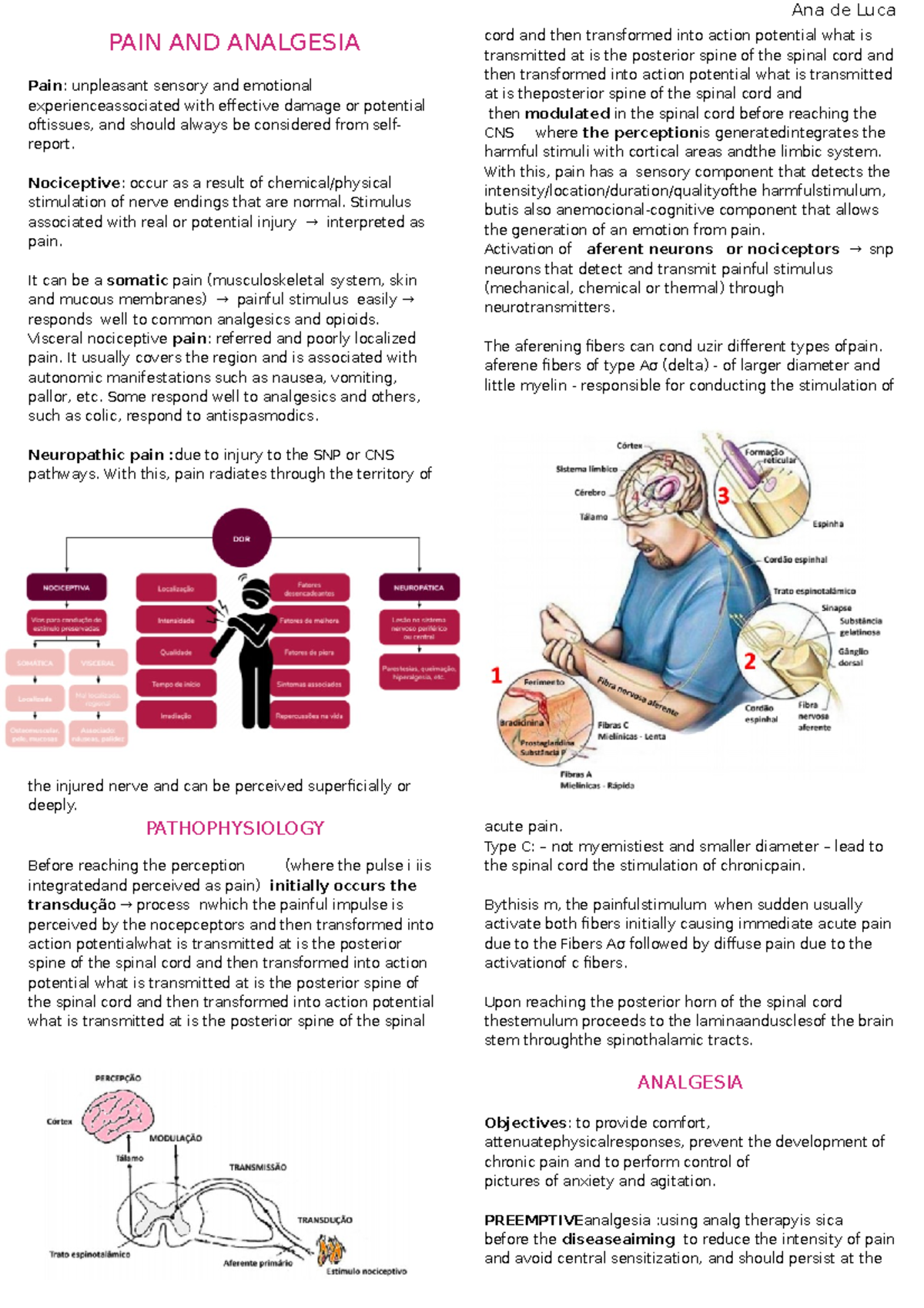 Pain and analgesia - PAIN AND ANALGESIA Pain : unpleasant sensory and ...