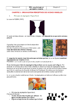 Psychologie, perception des images Chapitre 2 - Semestre 2 PDI ...