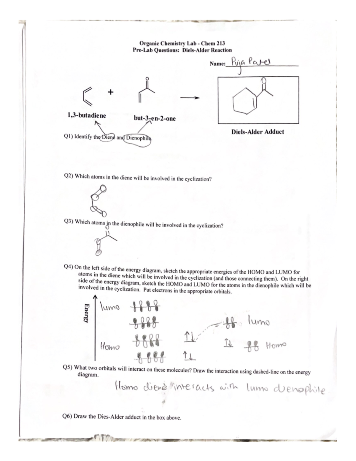 Organic Chemistry Lab - Chem 213 - BIO 161 - Studocu