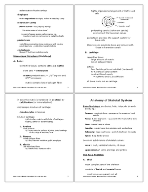 C.Skeletal System - Human Anatomy & Physiology: Skeletal System; Ziser ...