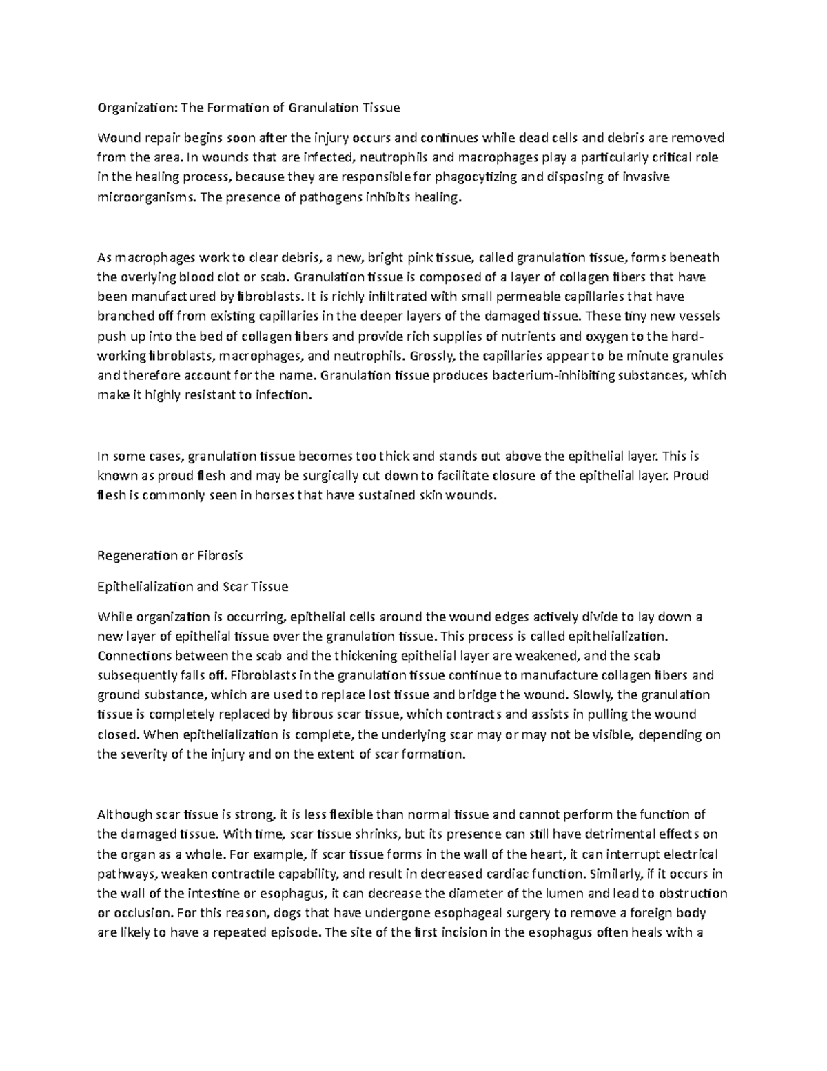 Organization- Anatomy textbook - Organization: The Formation of ...