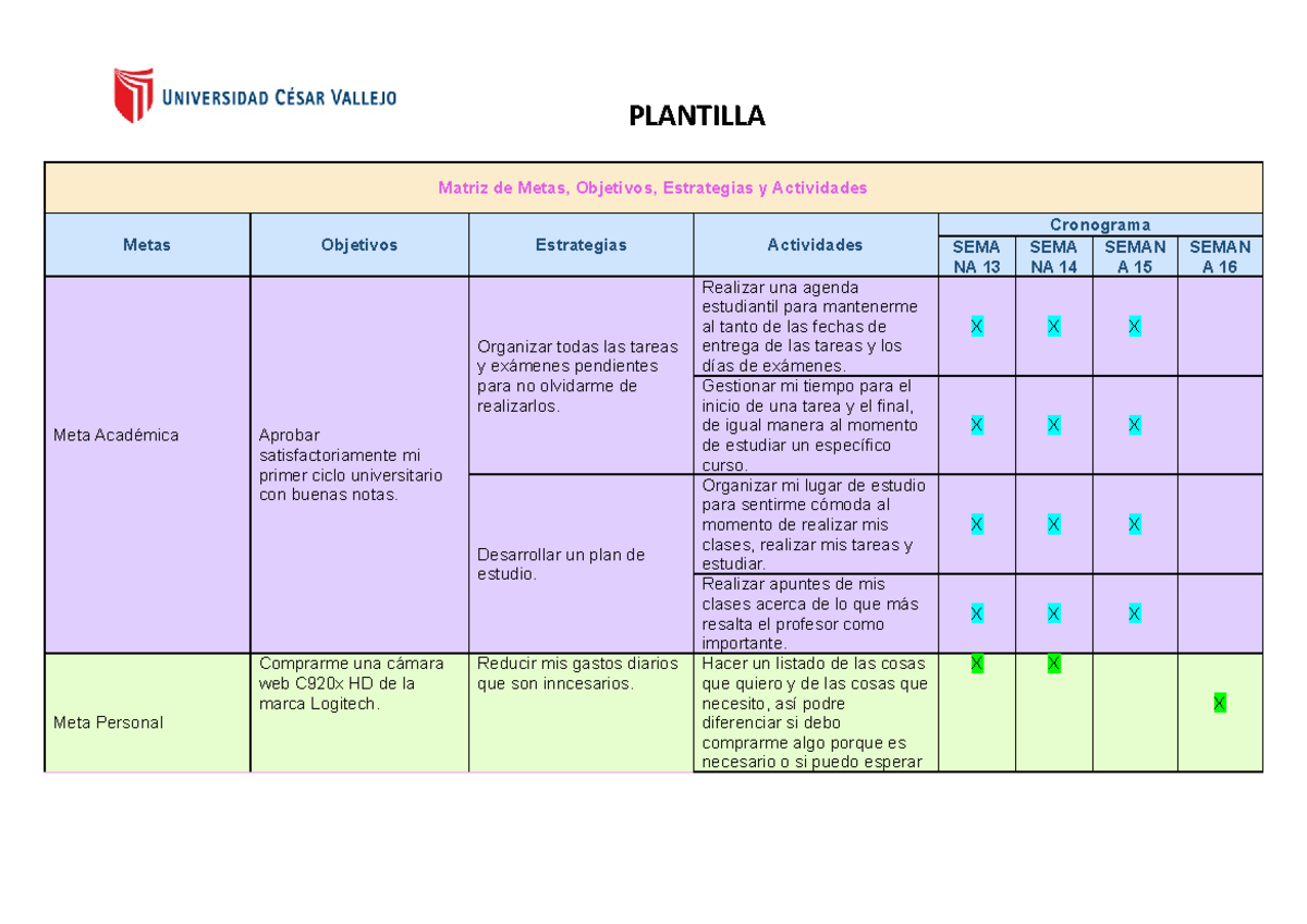 Carrasco Murillo Maria Cristina - Matriz - Matriz de Metas, Objetivos ...