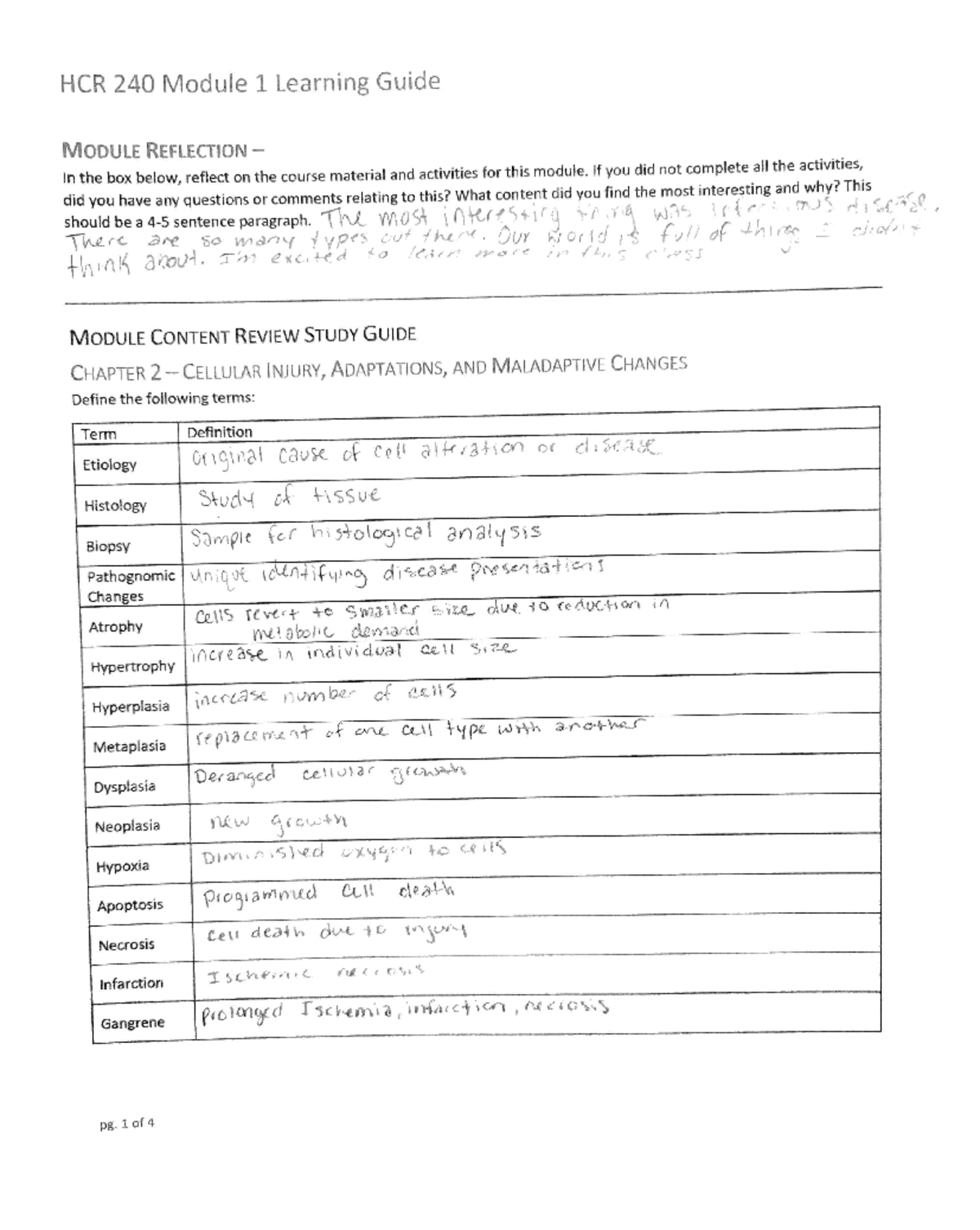 Module 1 learning guide - HCR 240 Module 1 Learning Guide MODULE ...