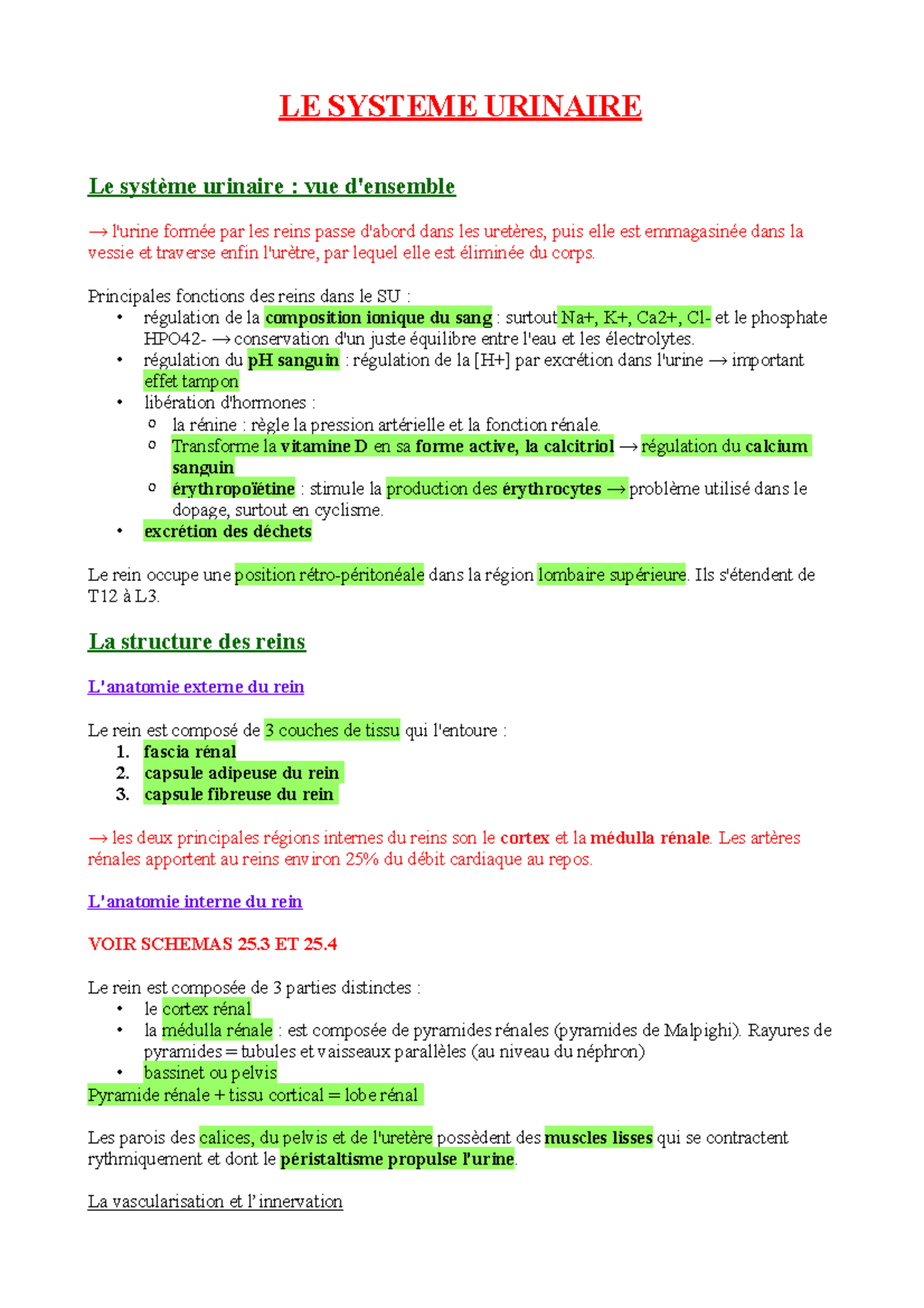 Le système urinaire - LE SYSTEME URINAIRE Le système urinaire : vue d ...