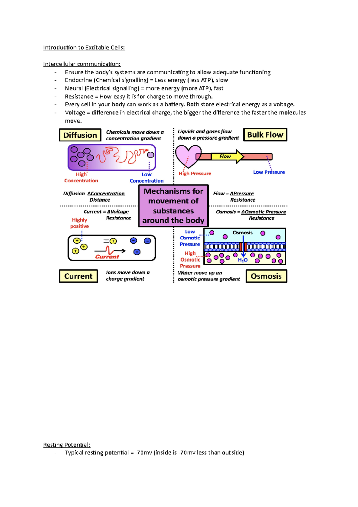 Introduction to Excitable Cells - Introduction to Excitable Cells ...