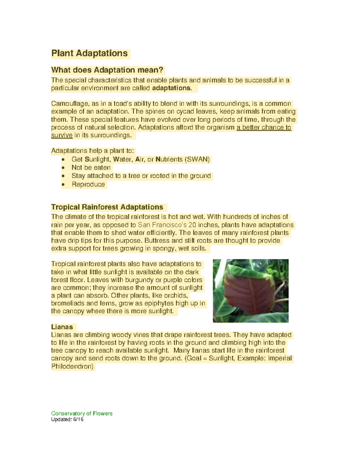 Attachment PDF- Plant Adaptations (with highlighted sections ...