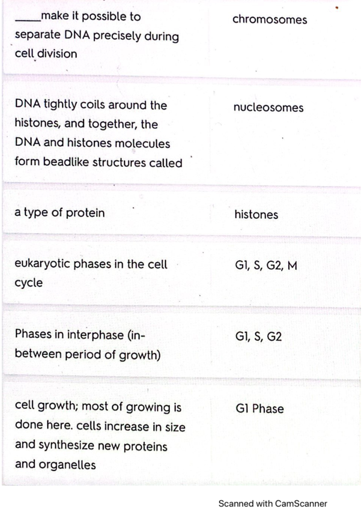 Bio Notes 1 - BSC 1010C - Studocu
