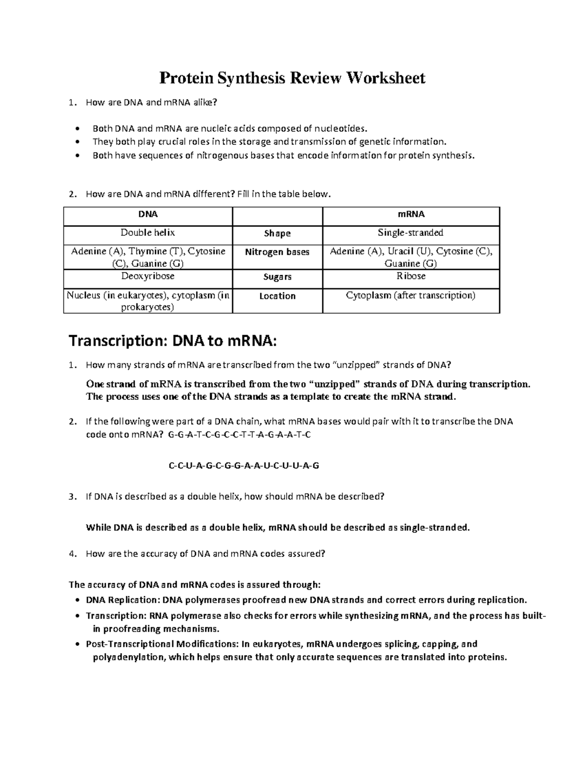 Activity 5 Protein Synthesis Review Worksheet Answers - Protein ...