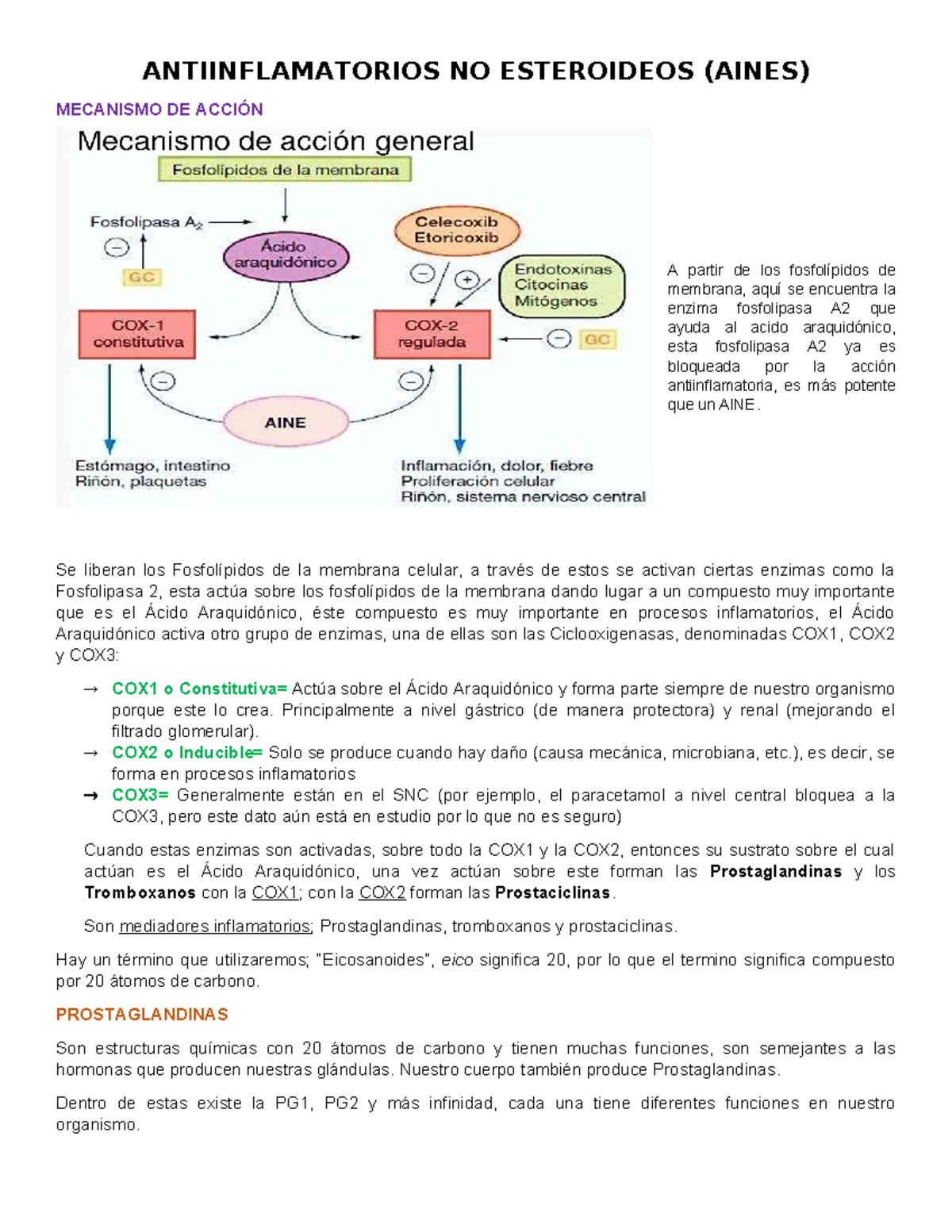4 - APUNTES - ANTIINFLAMATORIOS NO ESTEROIDEOS (AINES) MECANISMO DE ...