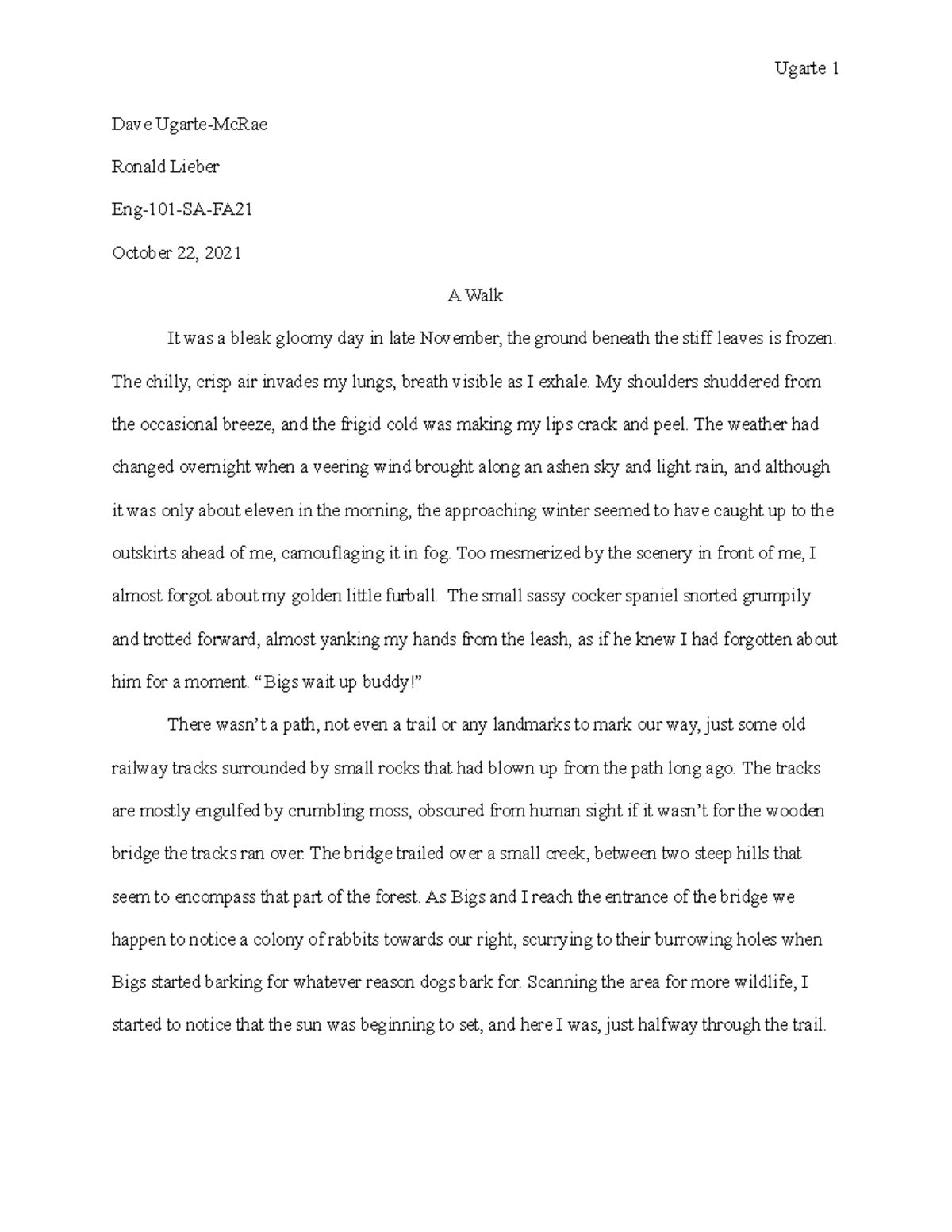 Essay 2 Descriptive - Ugarte 1 Dave Ugarte-McRae Ronald Lieber Eng-101 ...
