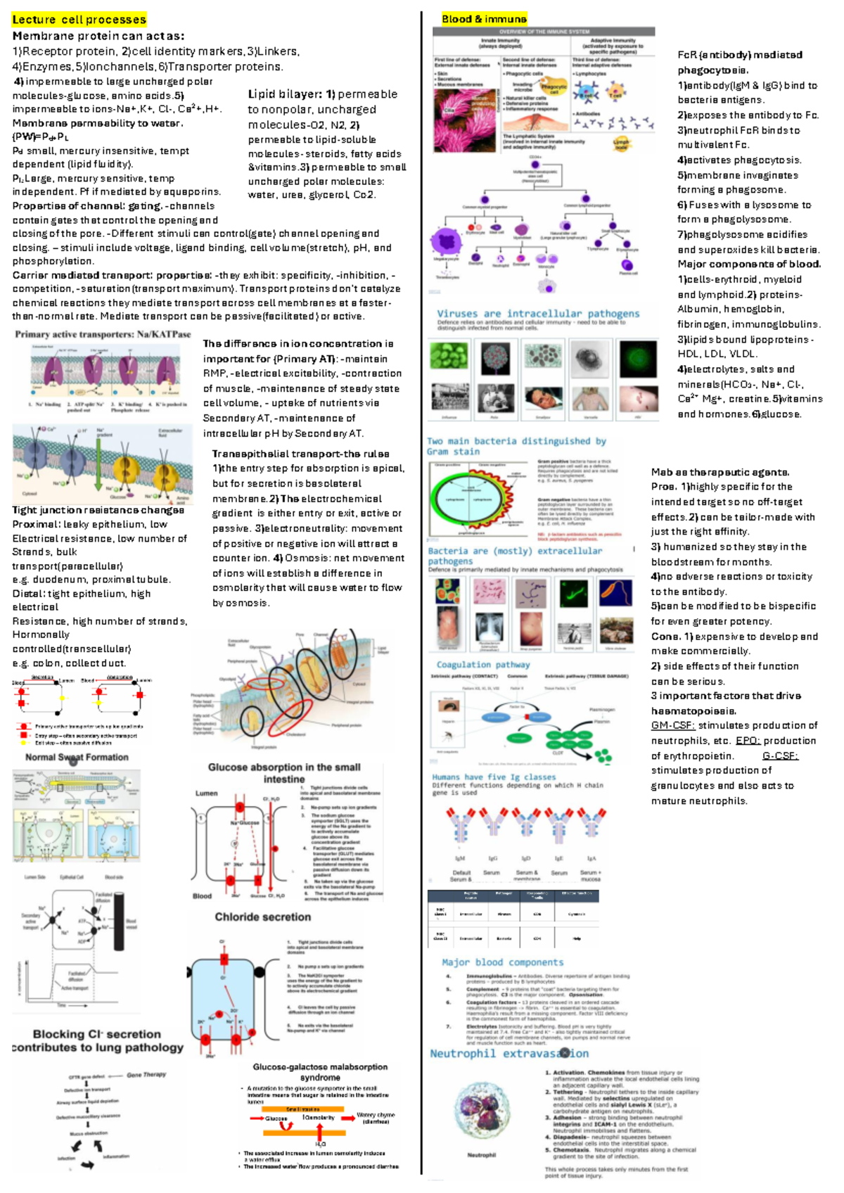Biosci 107 cheatsheet - Lecture cell processes Membrane protein can act as: 1)Receptor protein ...
